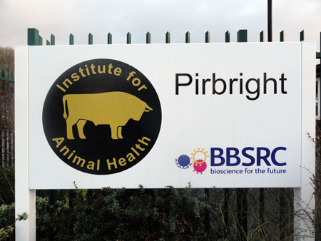 Opinion: A site of the future