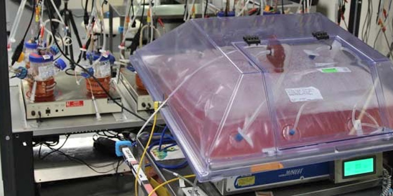 Bio-Techne to invest up to $50m for GMP protein production facility