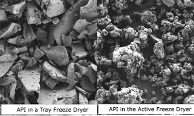 Contained active freeze drying