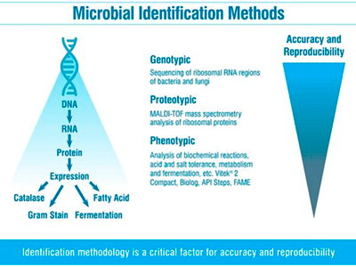 Microbiology