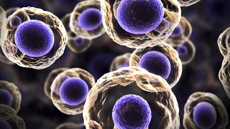 Life Science Group receives cleanroom grant in the UK