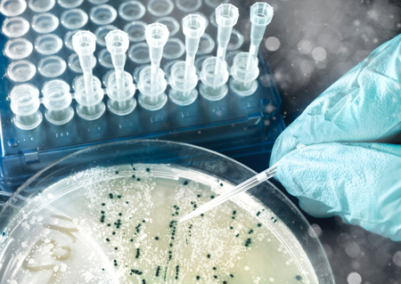 Why plasma tech matters